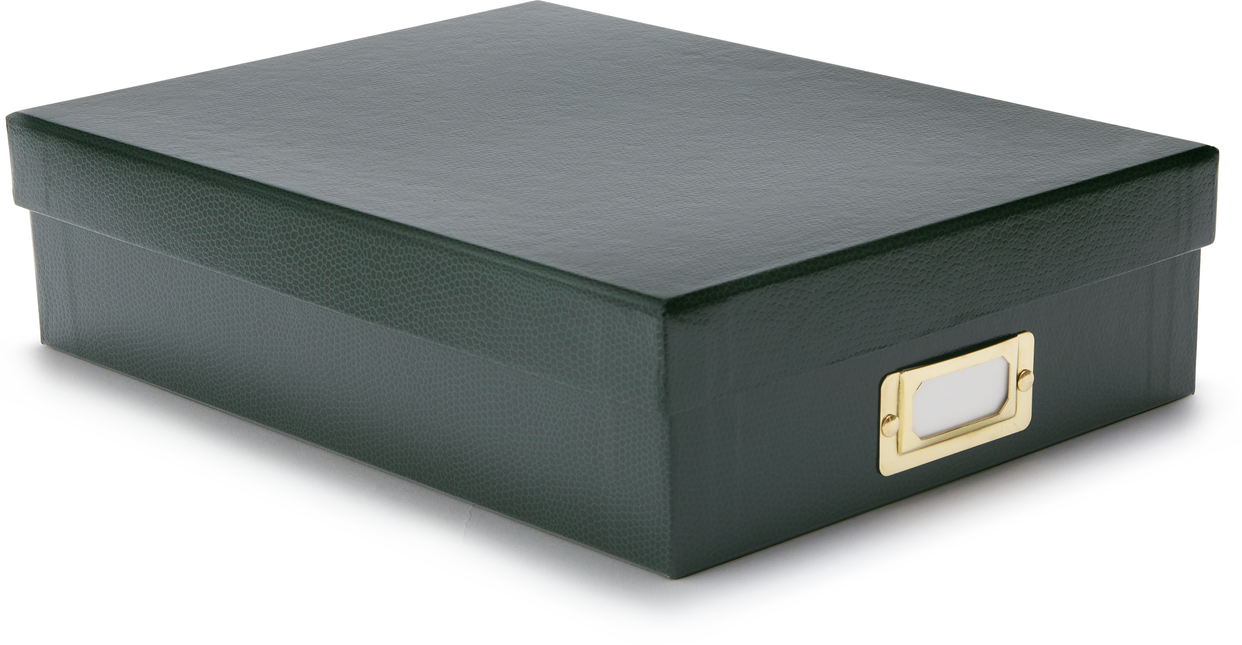 Green Iguana Leatherette Archival Box – Choosing Keeping
