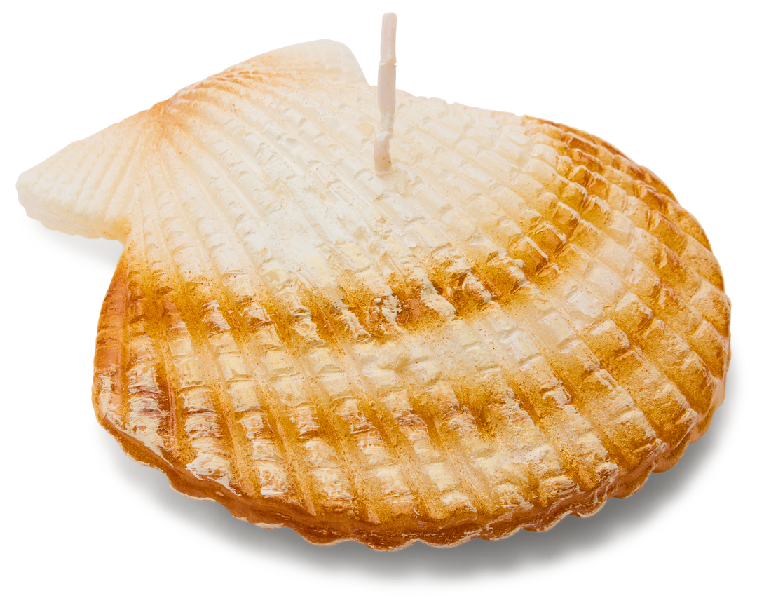 Clam Shell Candle – Choosing Keeping
