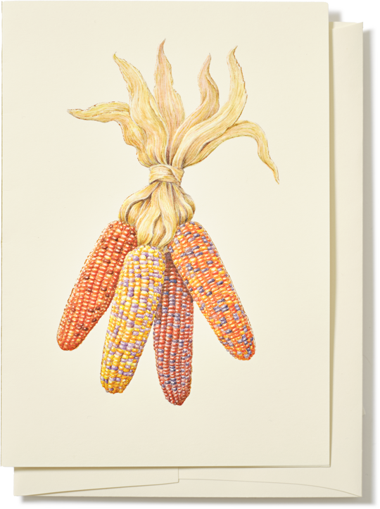 Engraved Corn Bouquet Greeting Card – Choosing Keeping